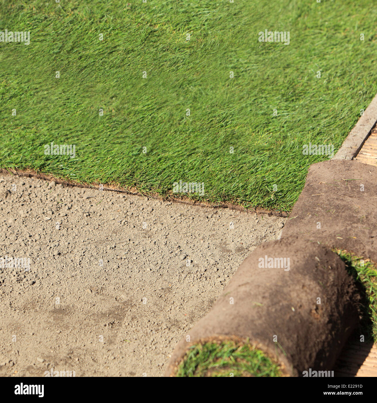 Turf cultivation hi-res stock photography and images - Alamy