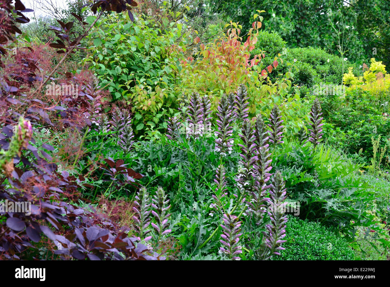 Border of Garden Stock Photo - Alamy