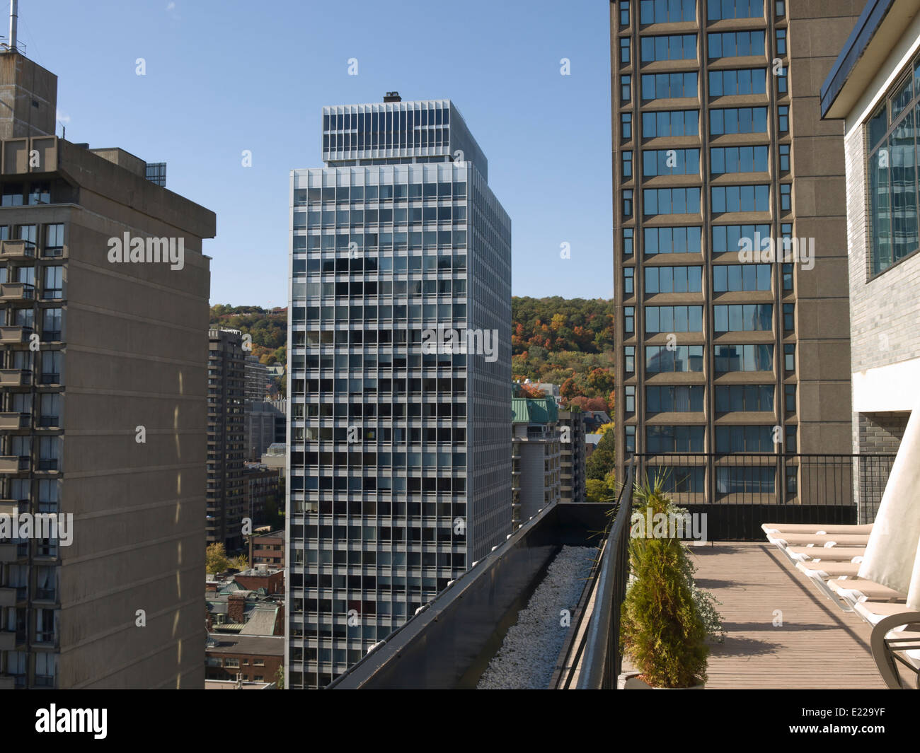 Rooftop view of city of Montreal Canada , skyscrapers seen from the ...