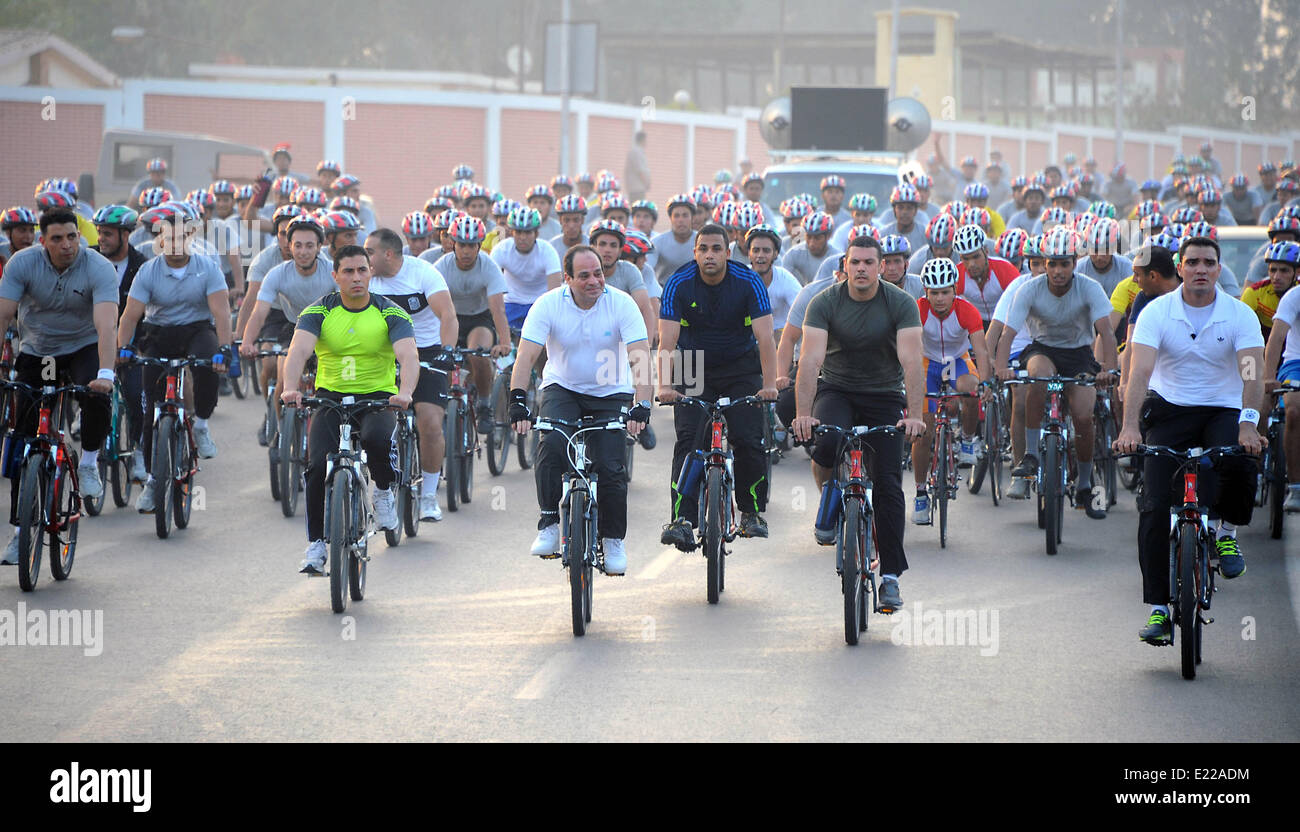 Cairo, Egypt. 12th June, 2013. A handout picture released by Egyptian ...