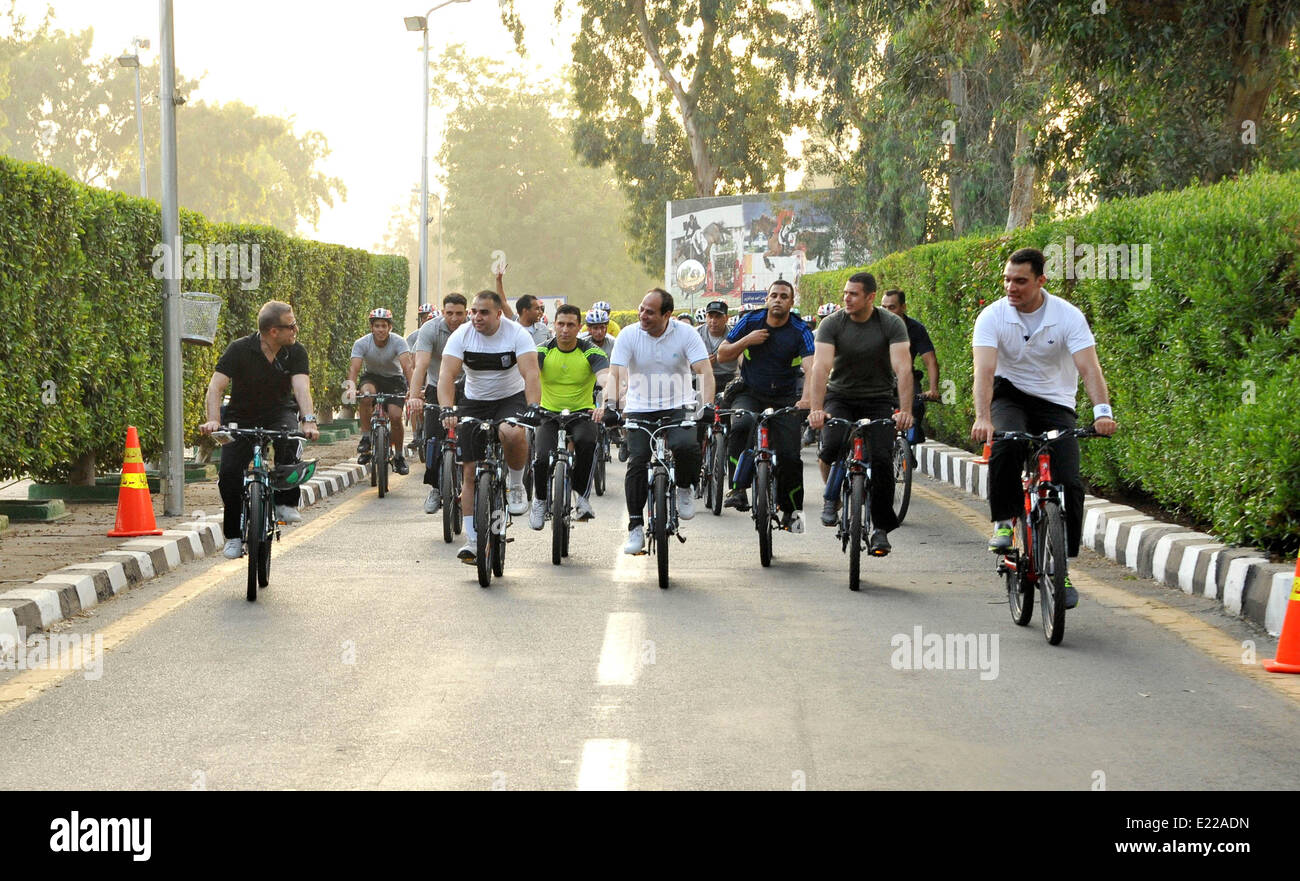 Cairo, Egypt. 13th June, 2014. A handout picture released by Egyptian ...