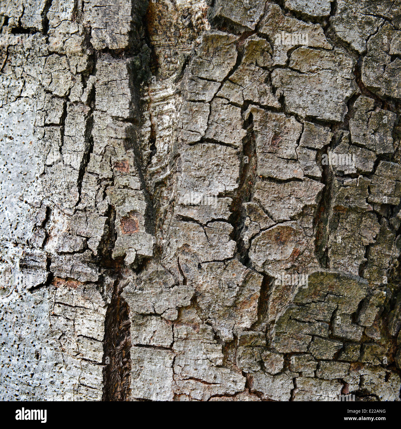 Fracture surface hi-res stock photography and images - Alamy