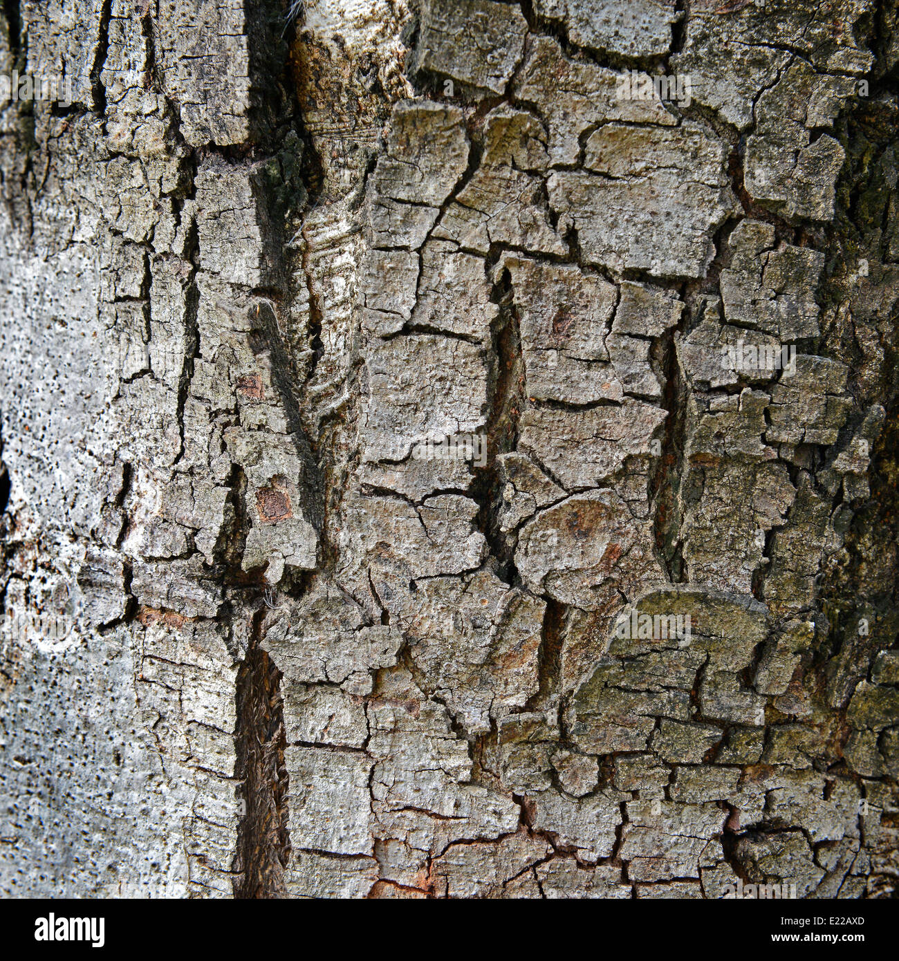 Fracture surface hi-res stock photography and images - Alamy