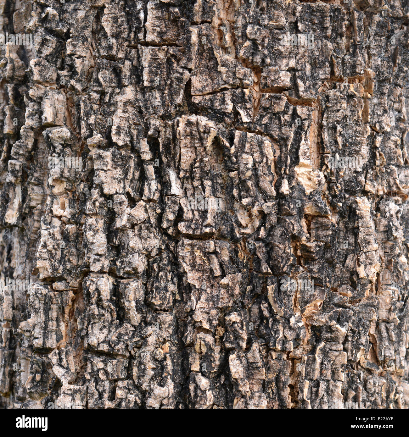 Fracture wood hi-res stock photography and images - Alamy