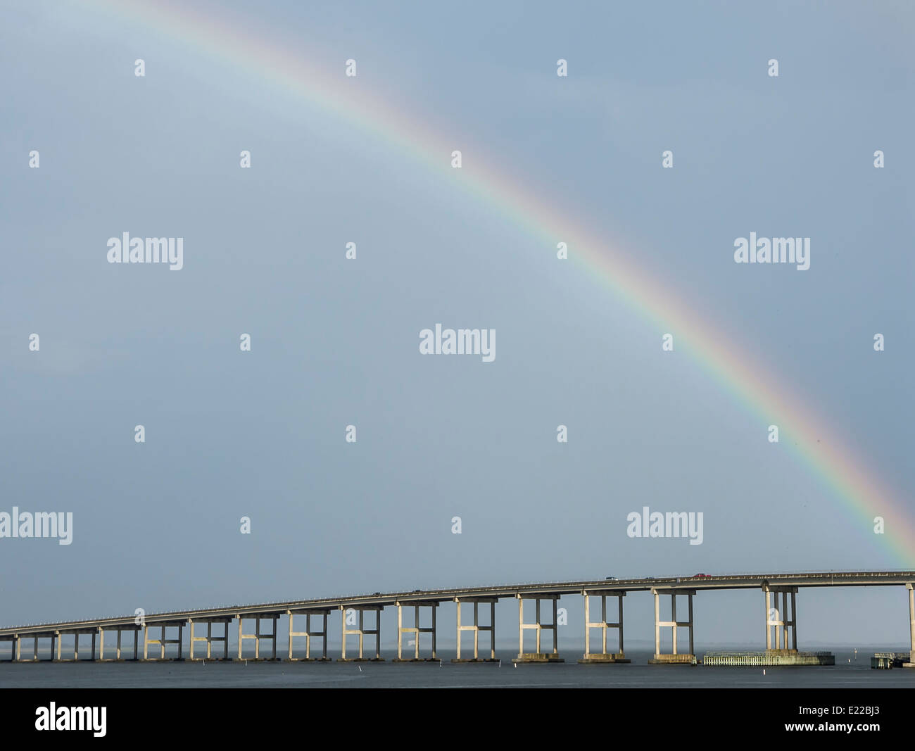 Baum washington hi-res stock photography and images - Alamy