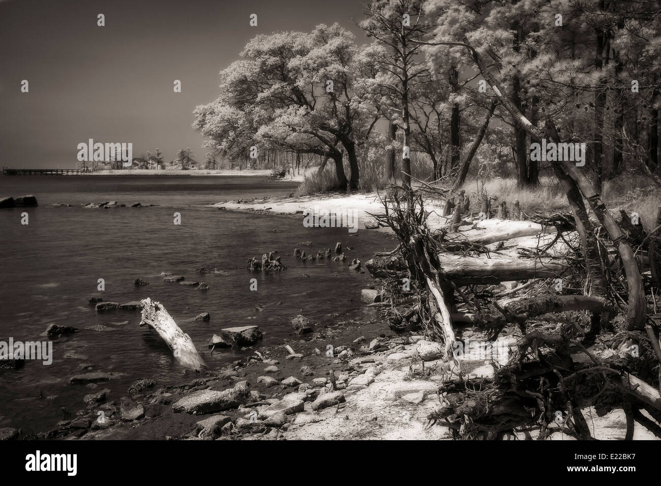Weir Point Beach, Manteo, North Carolina - 2 Stock Photo - Alamy