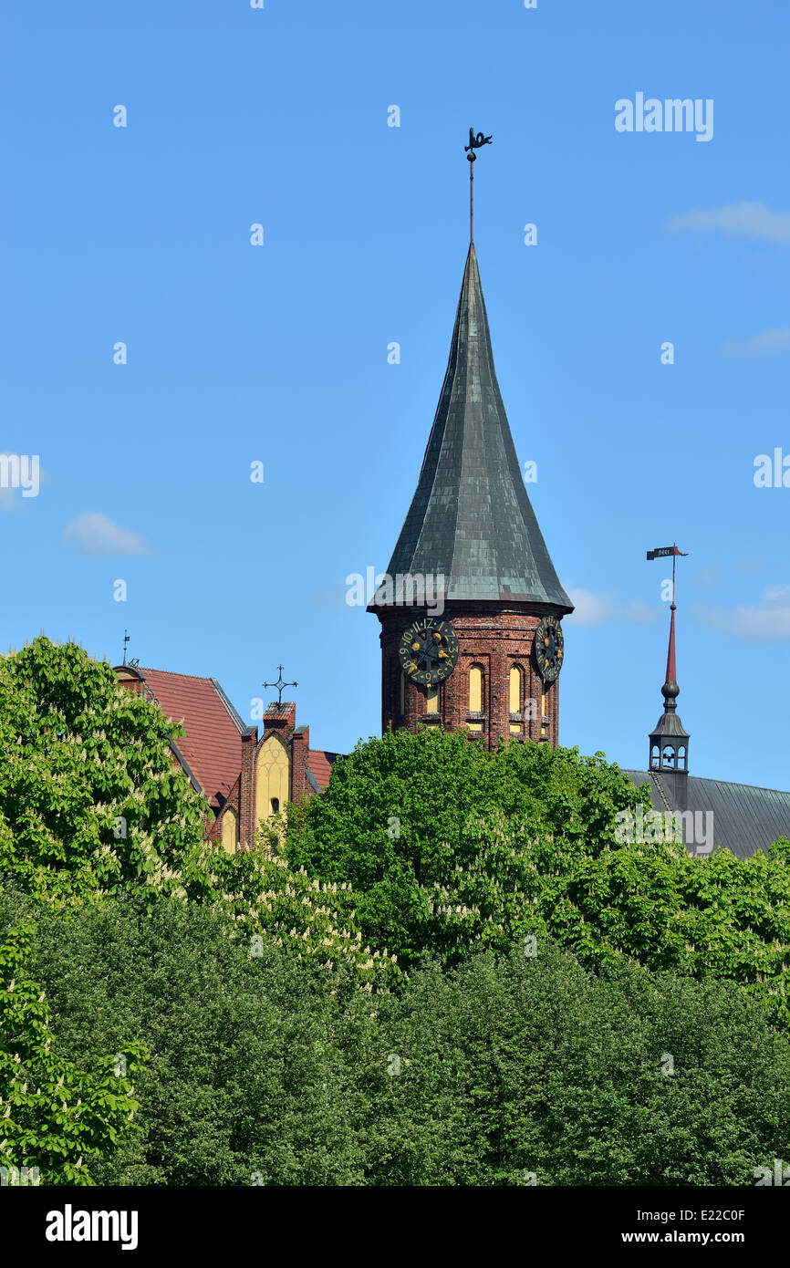 Koenigsberg Cathedral on the Kneiphof island. Symbol of Kaliningrad ...