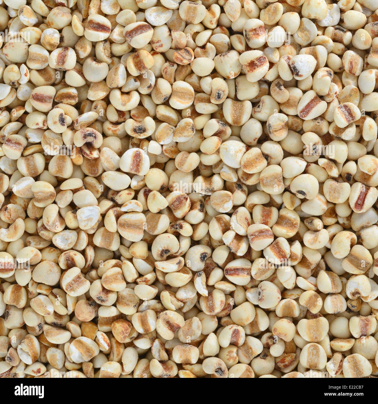 Millet food hi-res stock photography and images - Alamy