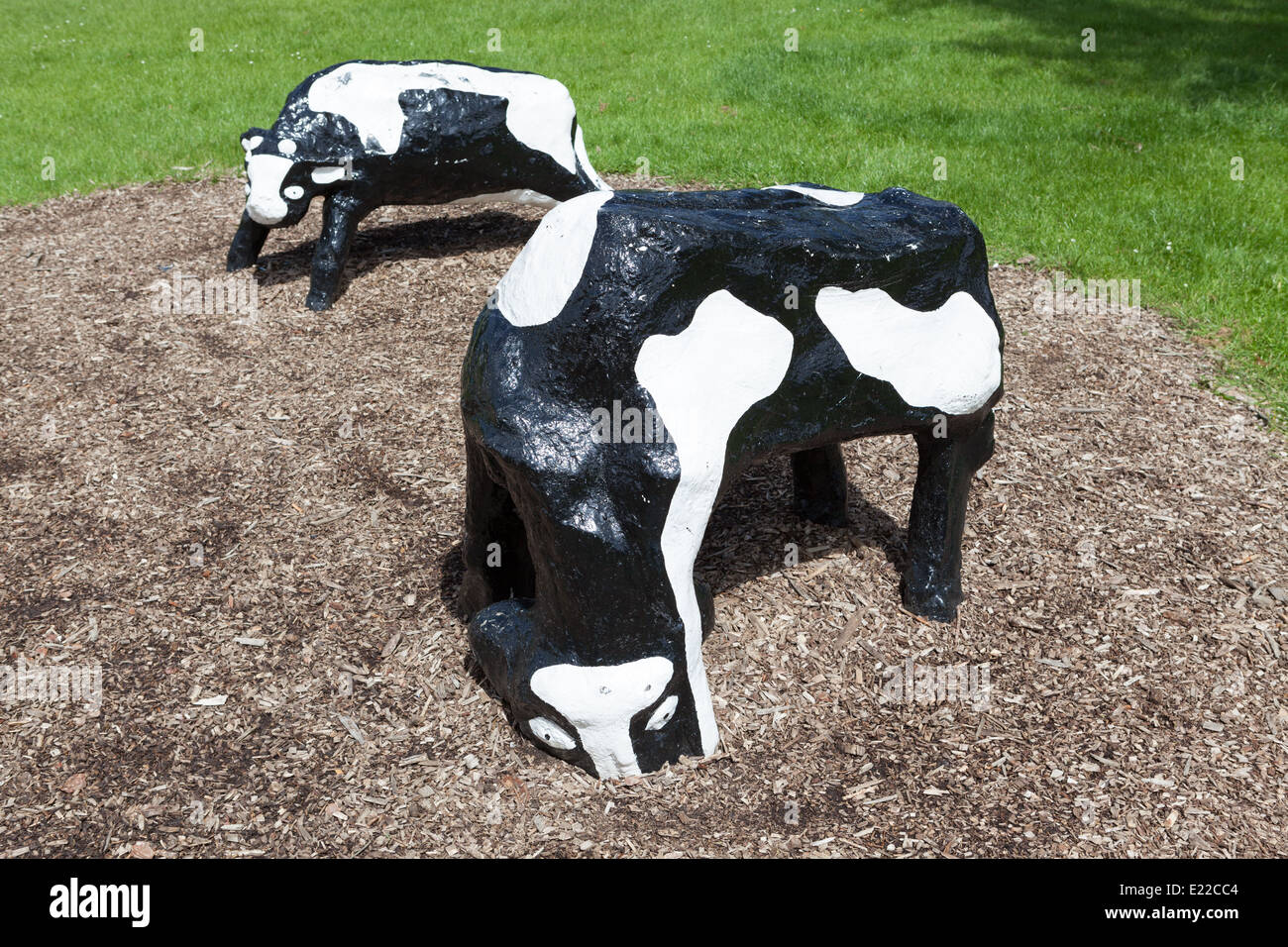 Milton Keynes' Concrete Cows have become infamous since being sculpted ...