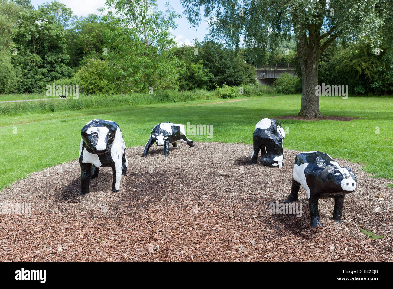 Milton Keynes' Concrete Cows have become infamous since being sculpted ...