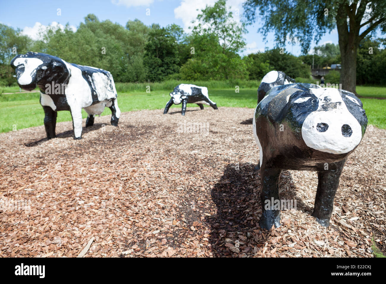 Milton Keynes' Concrete Cows have become infamous since being sculpted ...