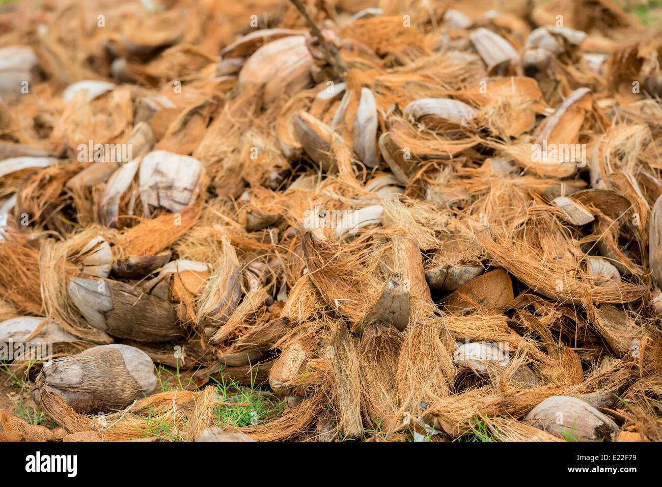 Image of dry coconut shell, abstract background Stock Photo - Alamy