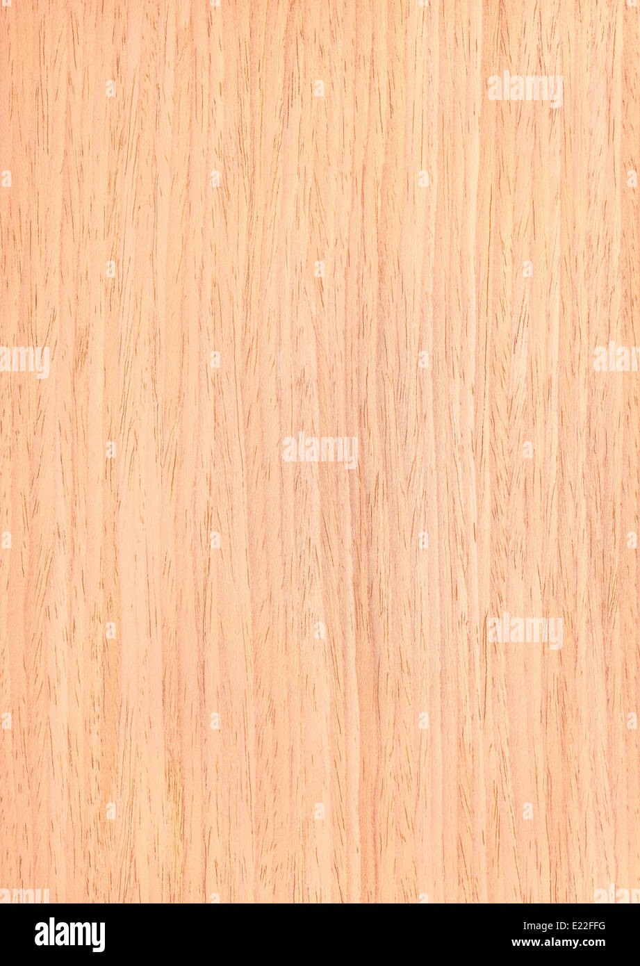 Oak wood grain hi-res stock photography and images - Alamy