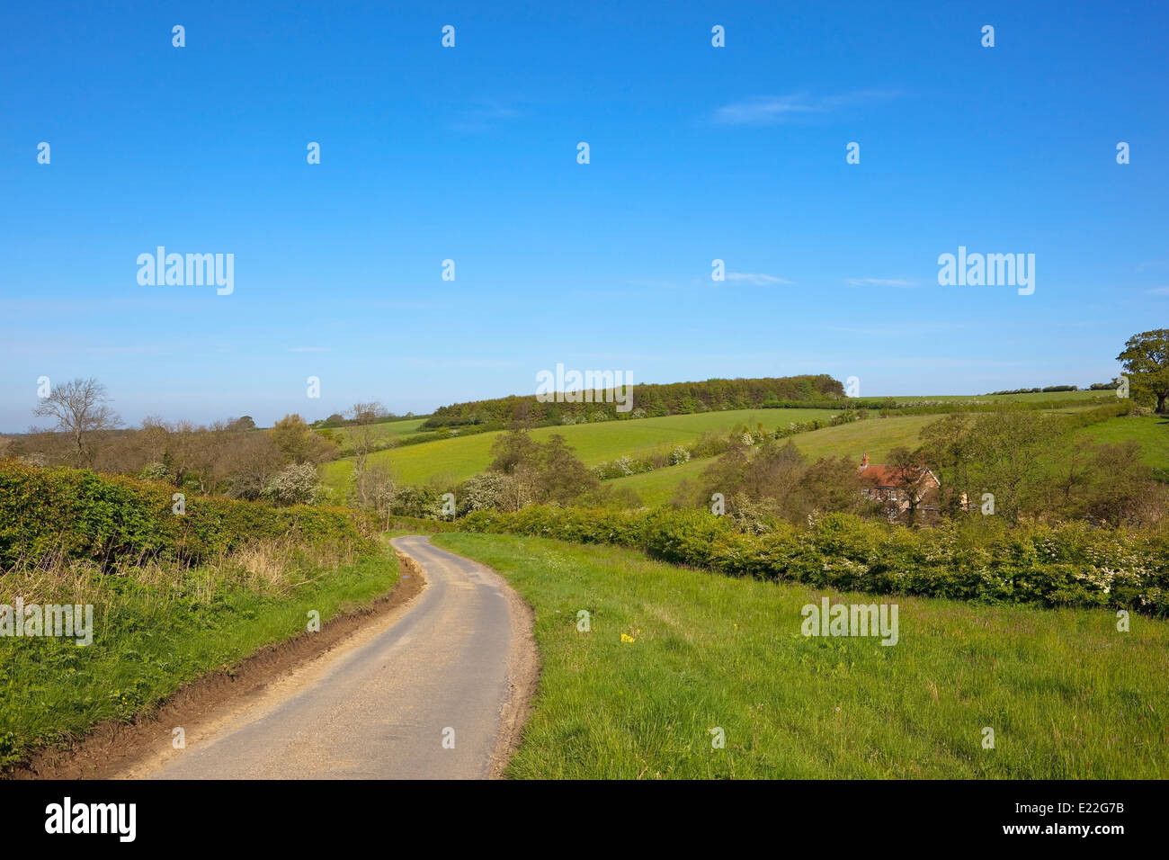 A small country road through the scenic farmland of the Yorkshire wolds ...