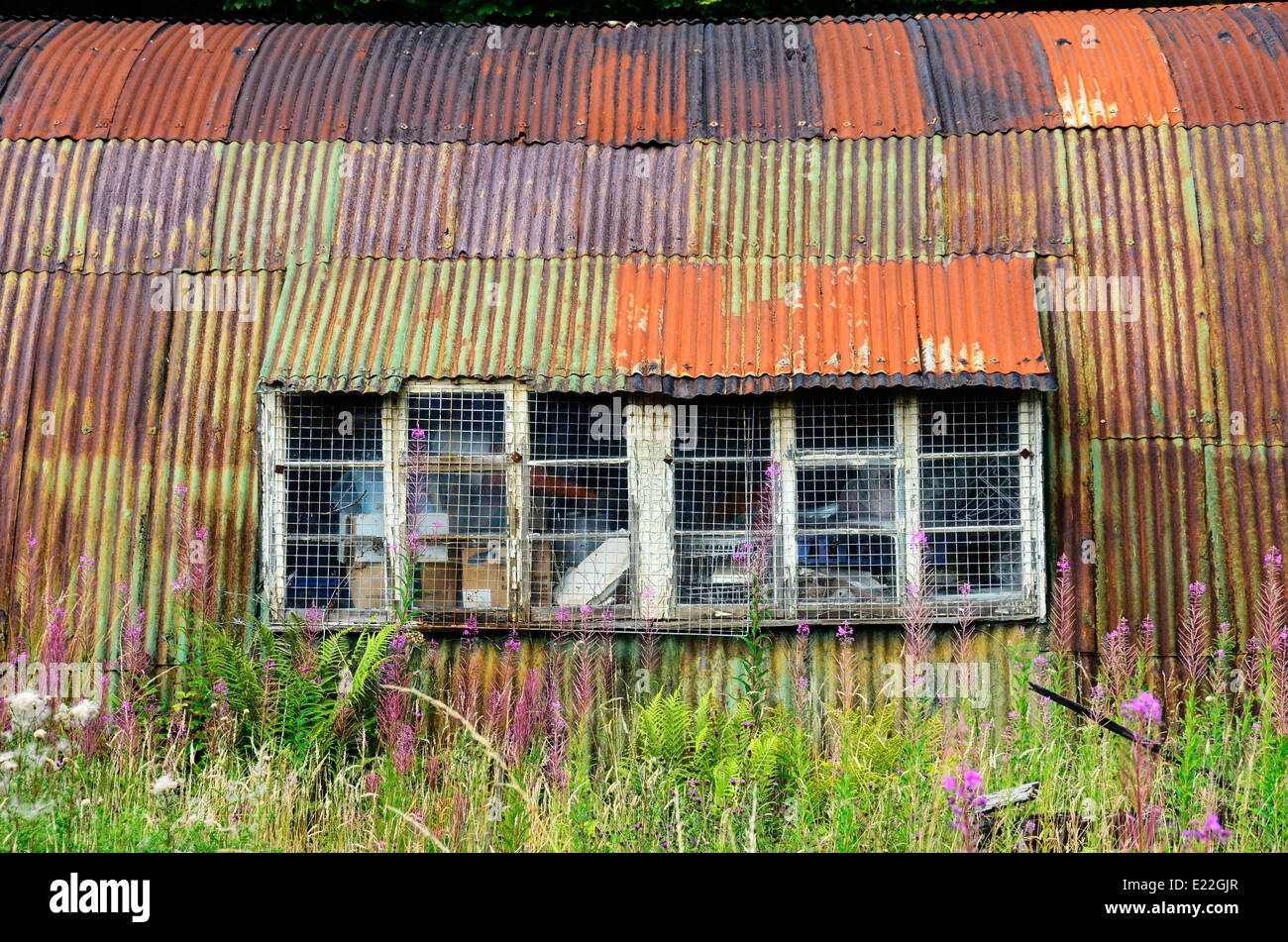 Naafi Nissin rusty tin hut Craster Northumberland Coast Stock Photo - Alamy