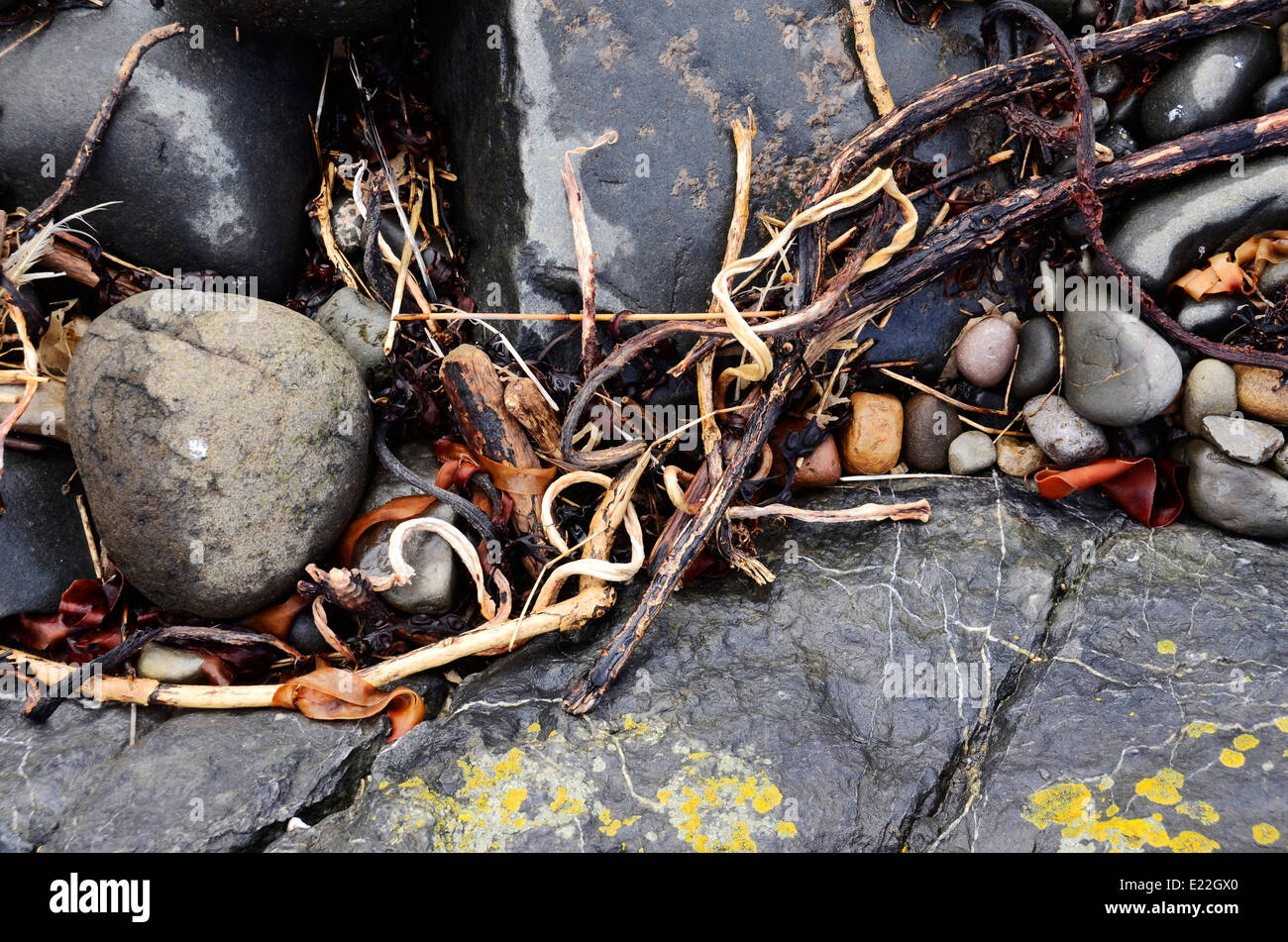 Patterns in rocks on the coast Stock Photo - Alamy