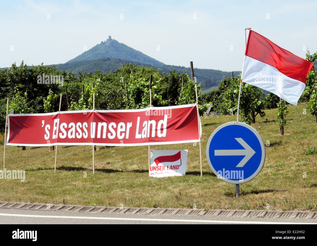 The alsacian party "Unser Land" demonstrating in Séléstat (Alsace), on ...