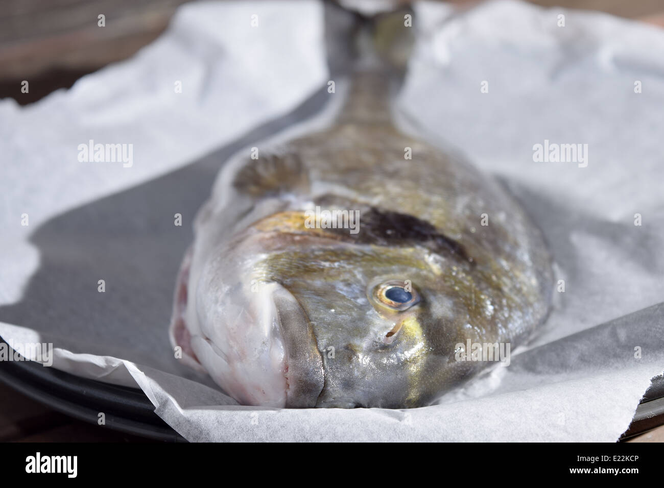 traditinal Italian sea dish: fresh sea bream Stock Photo - Alamy