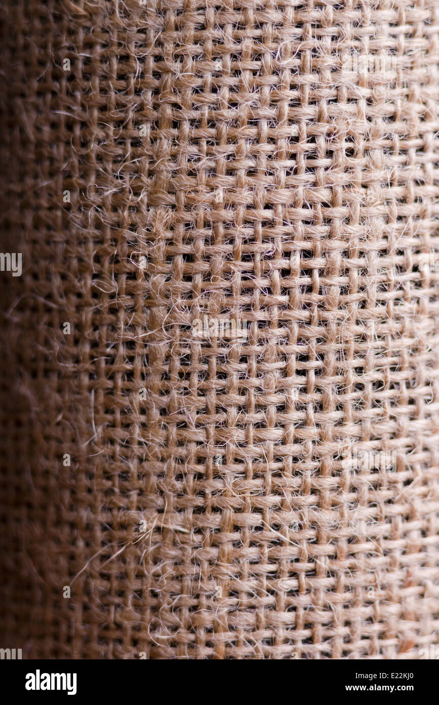 coarse texture on the rounded surface. macro Stock Photo - Alamy