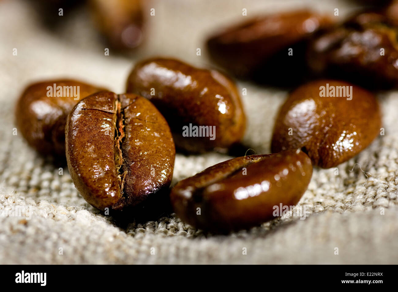Coffee in grains is used for preparation of a popular and fragrant ...
