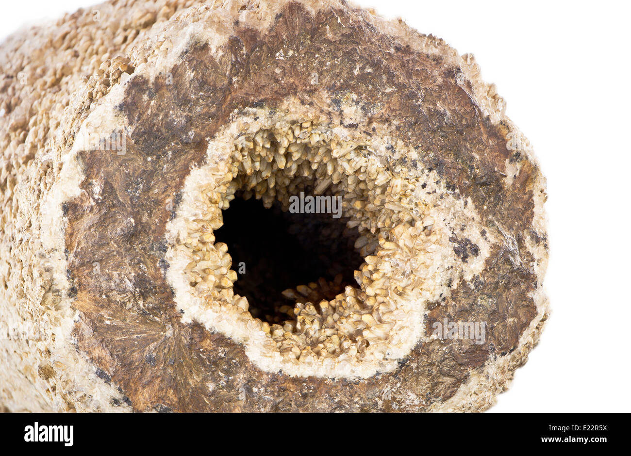 Quartzite formation hi-res stock photography and images - Alamy