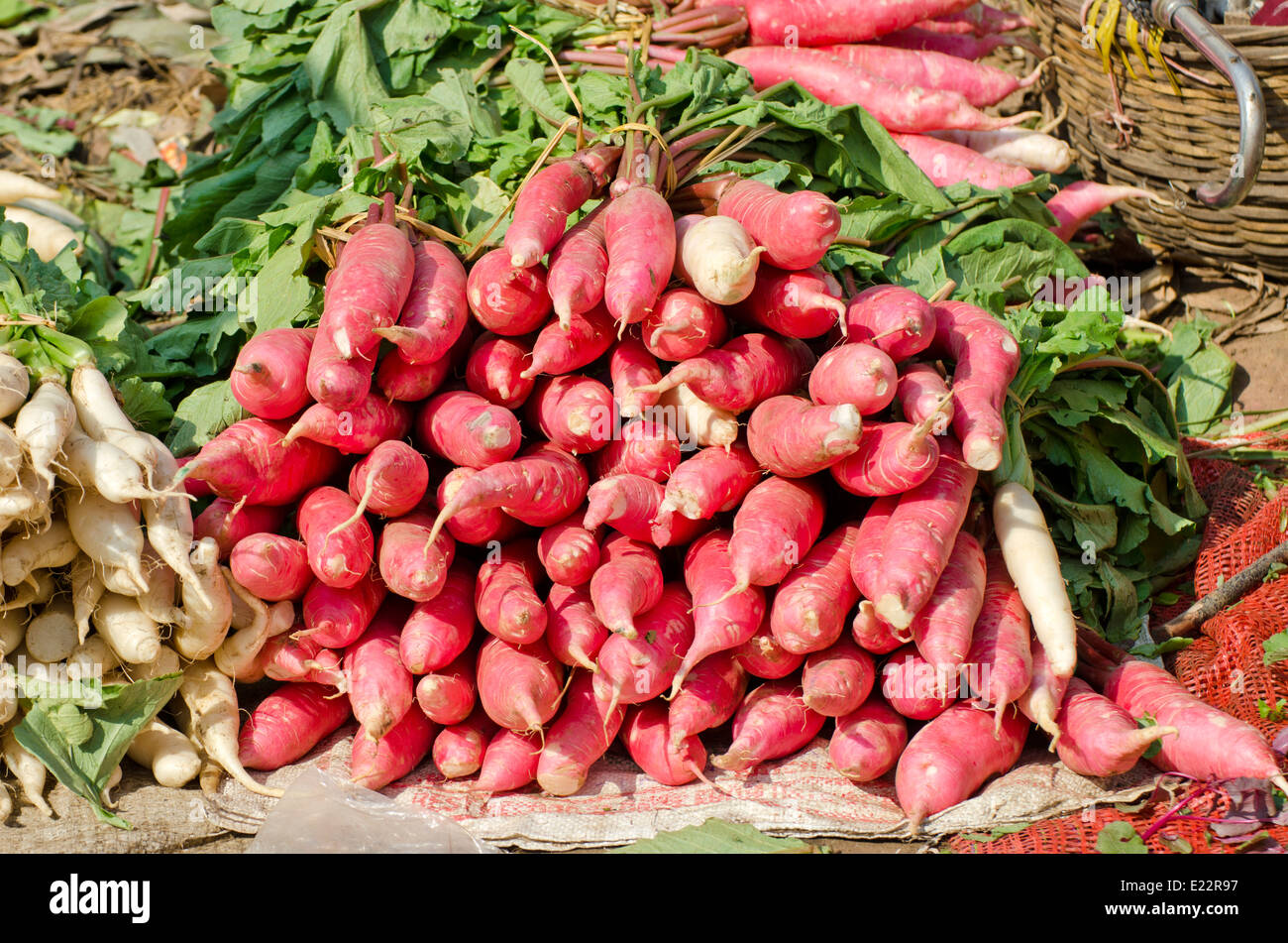 Radish in india hi-res stock photography and images - Alamy