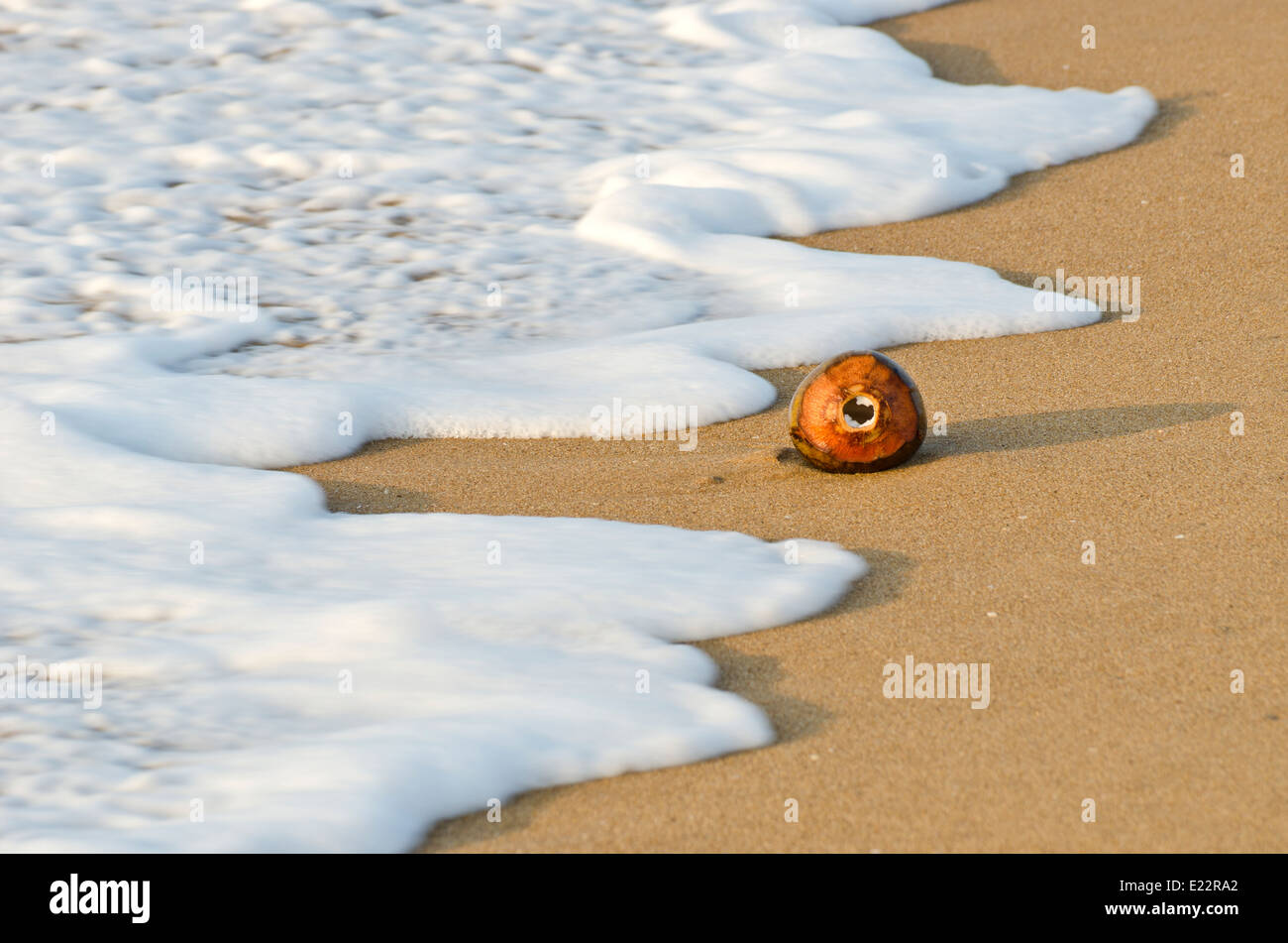 coconut on beautiful sea beach sand and wave in Asia Stock Photo - Alamy