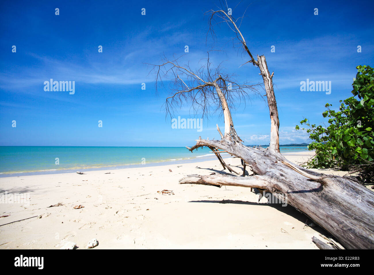 Rustic beach and blue sky Thailand Stock Photo - Alamy