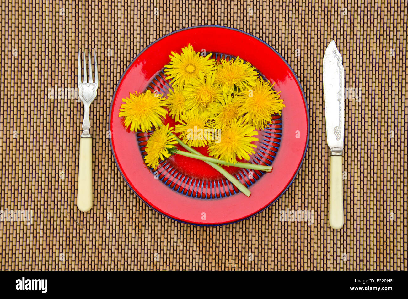 fresh healthy yellow dandelion flower for food in red ceramic plate ...