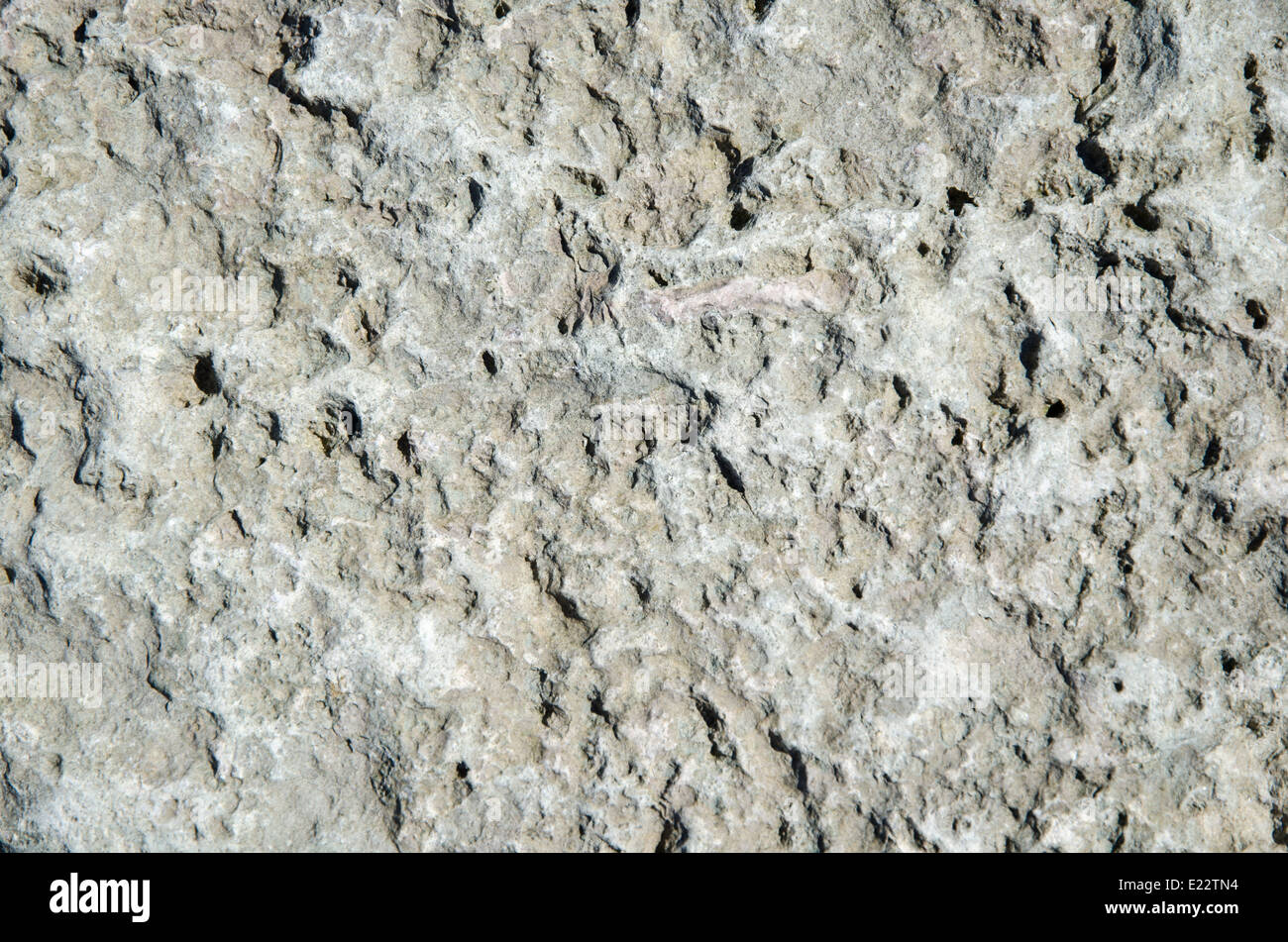 Background of gray limestone surface Stock Photo - Alamy