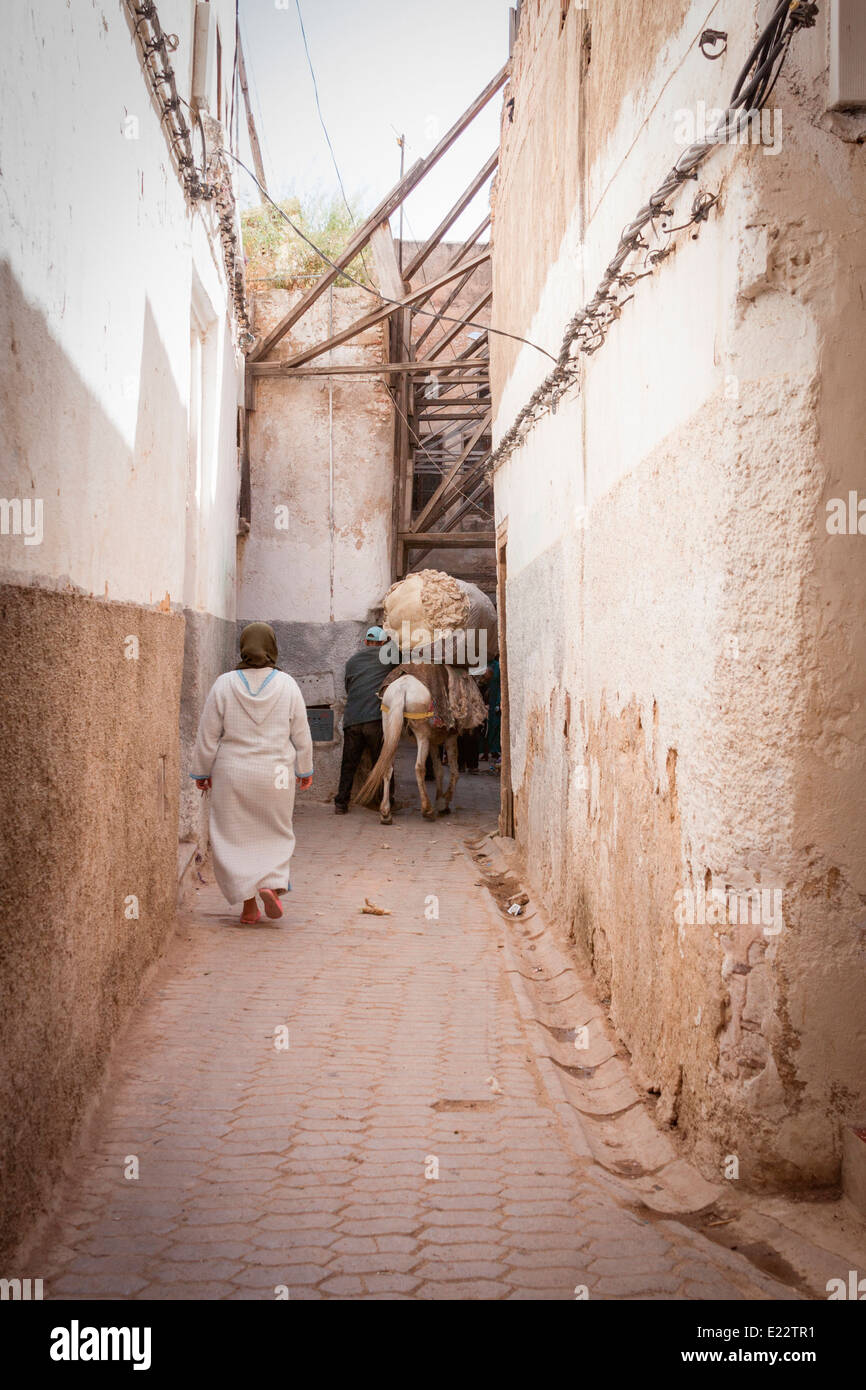 Mules are used to carry heavy loads through the narrow streets and ...