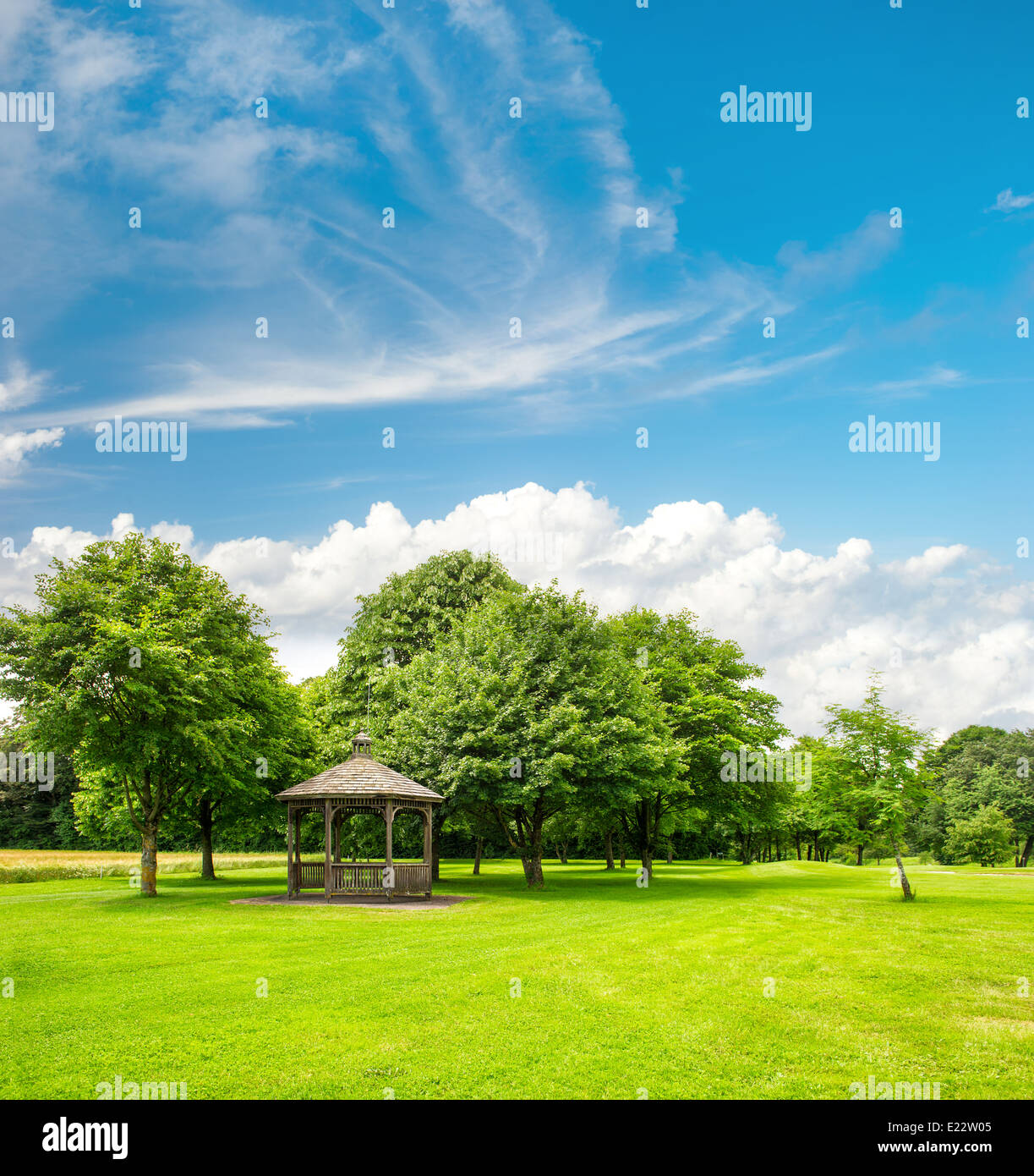 green park trees over blue sky. formal garden. golf field Stock Photo ...