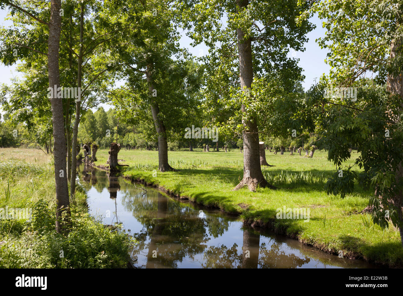 A small canal (conche) lined with trees in the Poitevin Marsh (a place ...
