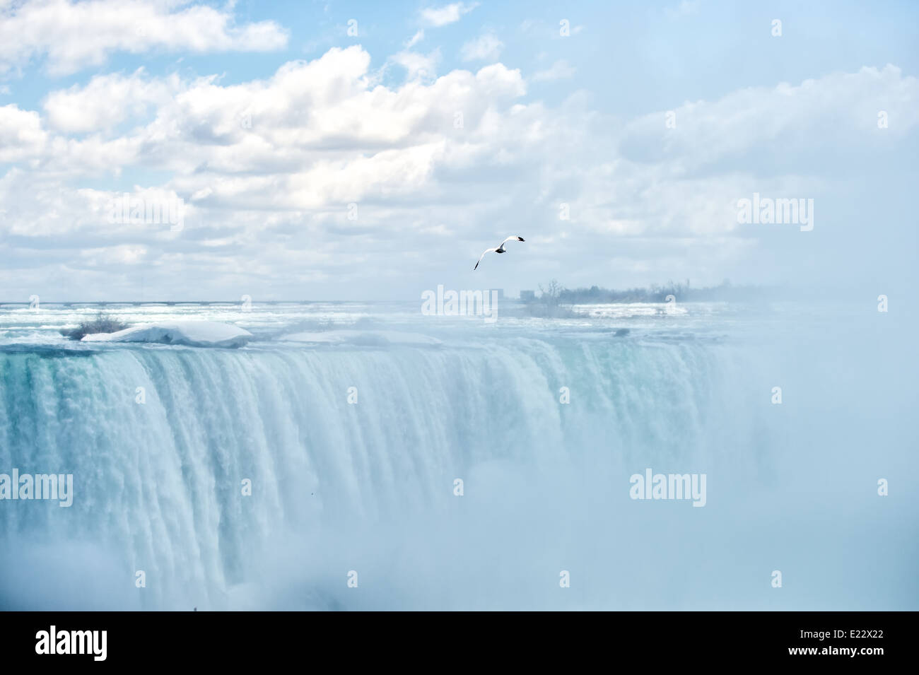 Niagara Falls - Sea gull soaring in heavy mist Stock Photo - Alamy