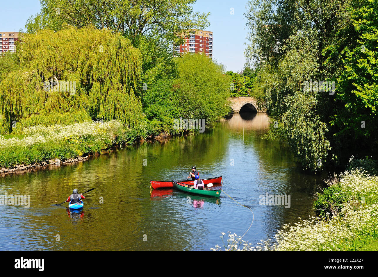 Canoes on the River Tame with a stone bridge to the rear, Tamworth ...