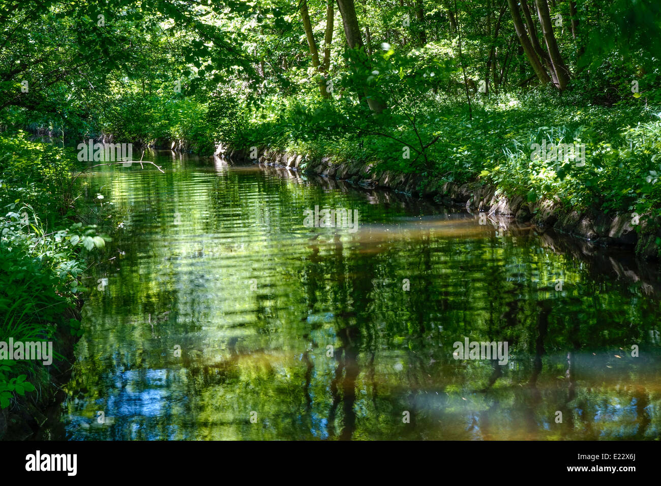 Brook in the castle park Nymphenburg in Munich, Bavaria, Upper Bavaria ...