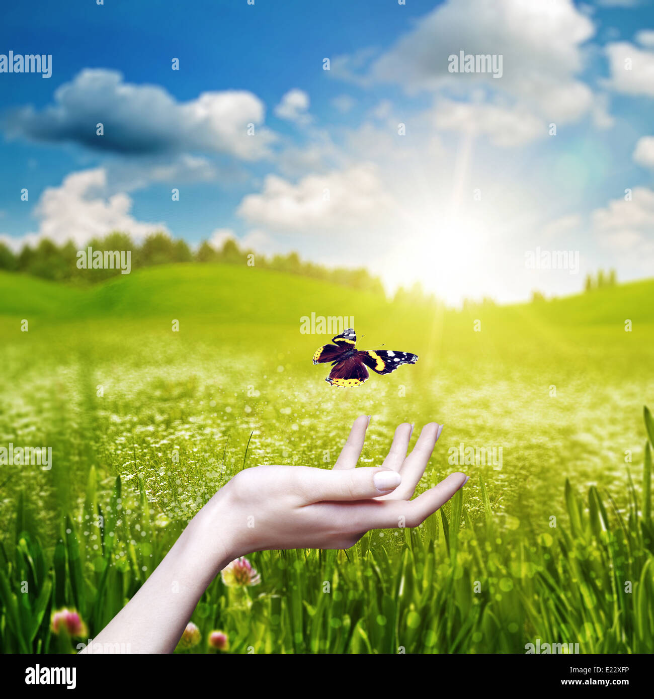 Female hand hold a beauty butterfly against abstract natural ...