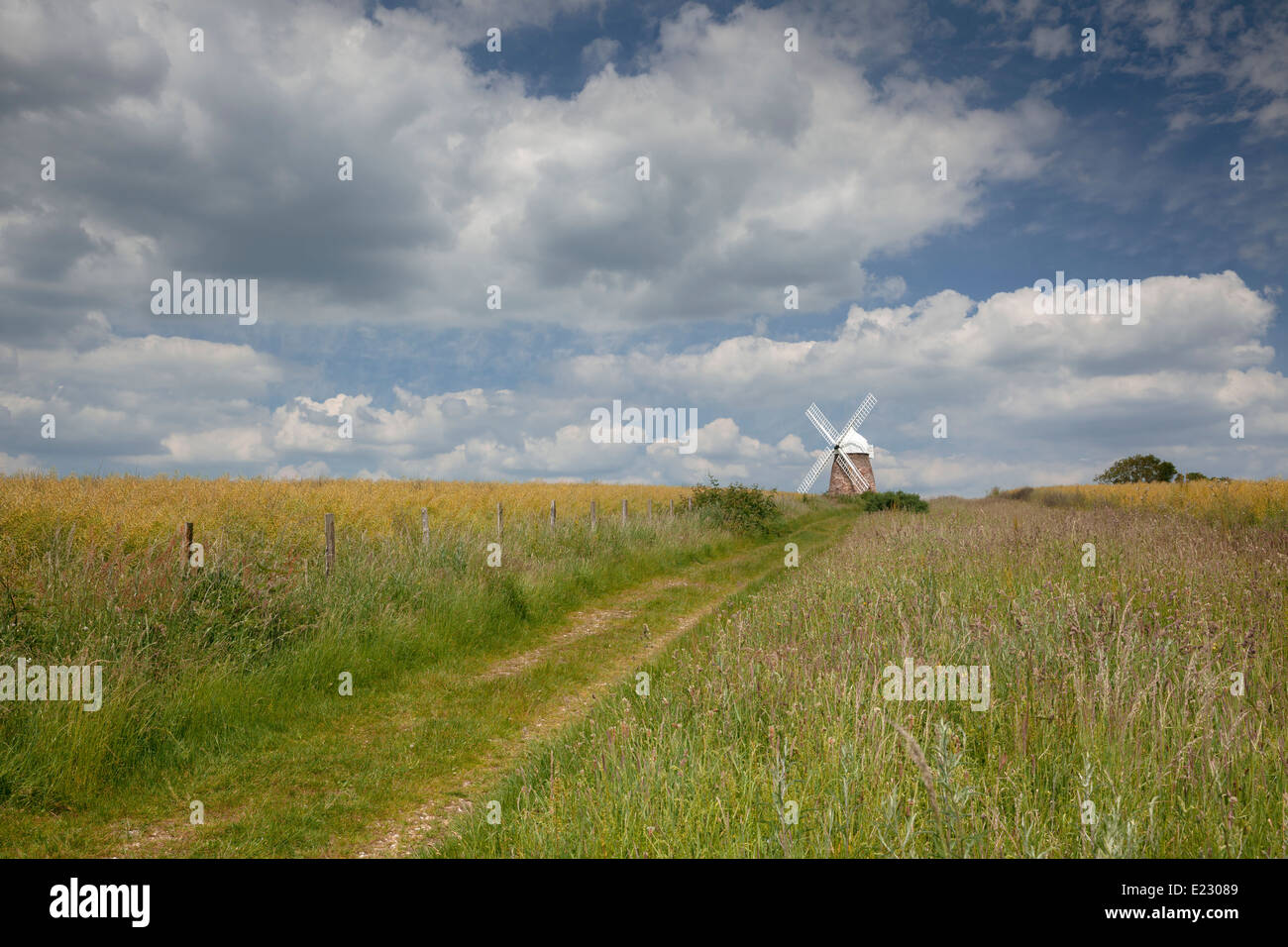 Halnaker windmill, sussex hi-res stock photography and images - Alamy