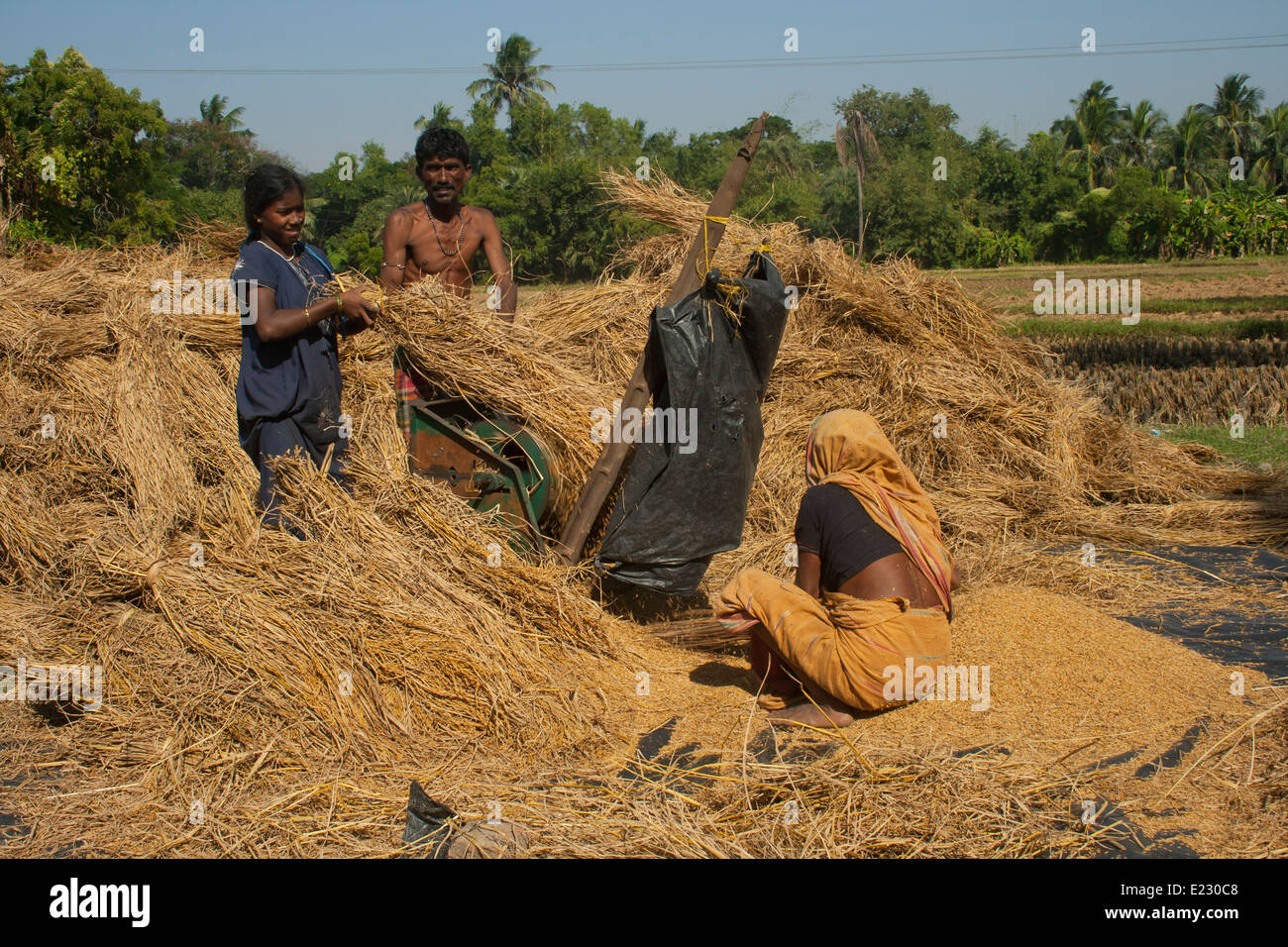 Three farmers hi-res stock photography and images - Alamy