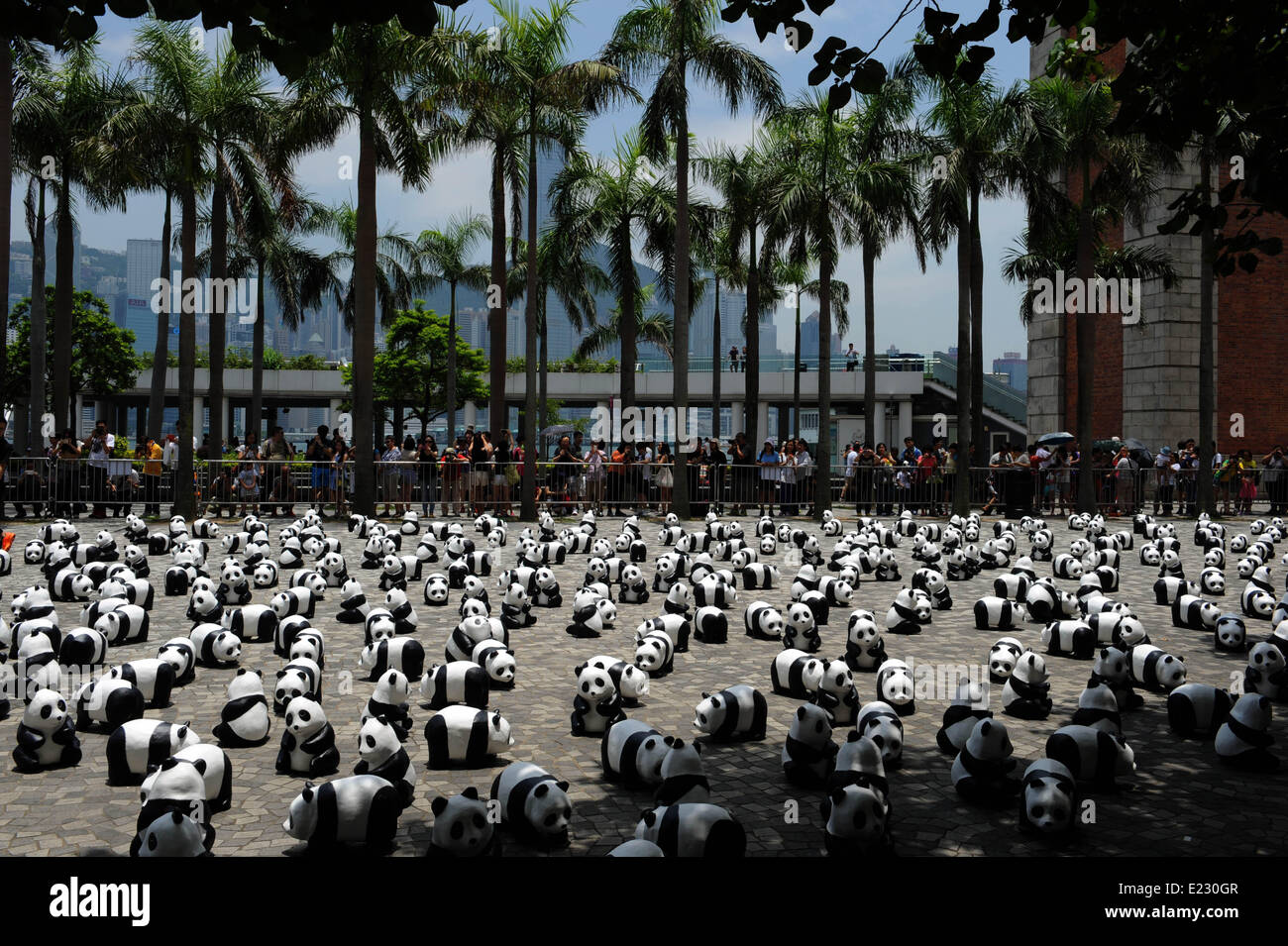 Hong Kong, China's Hong Kong. 14th June, 2014. Paper pandas are placed ...