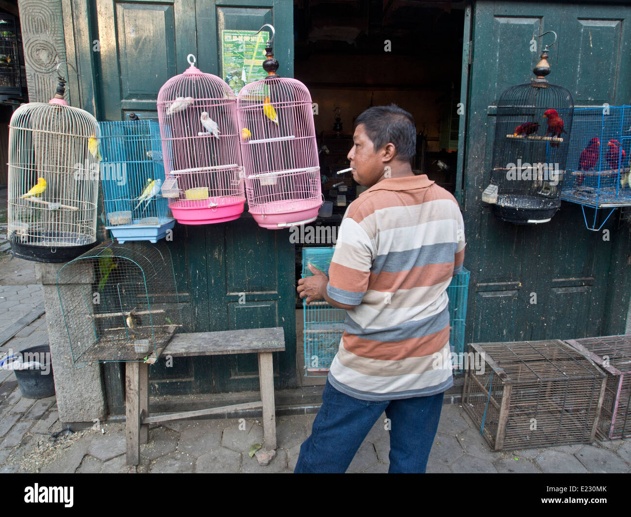 Bird market in Yogyakarta, Indonesia Stock Photo - Alamy