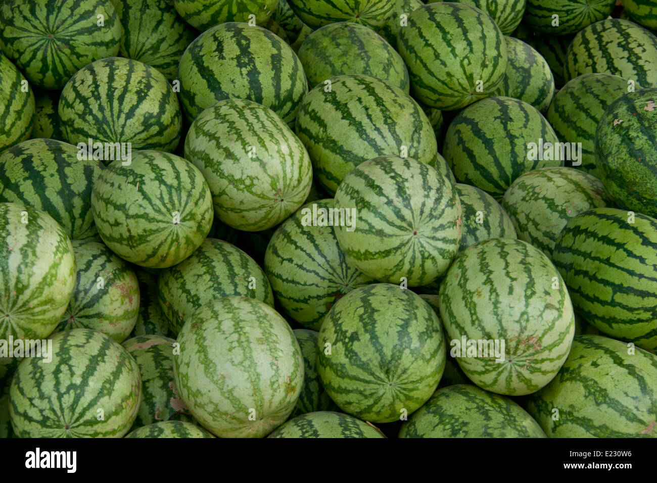 India watermelon sale hi-res stock photography and images - Alamy