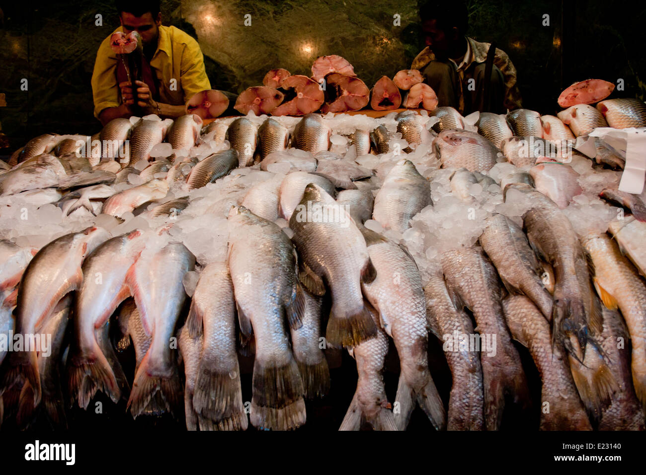 Group Fish in Ina market Stock Photo - Alamy
