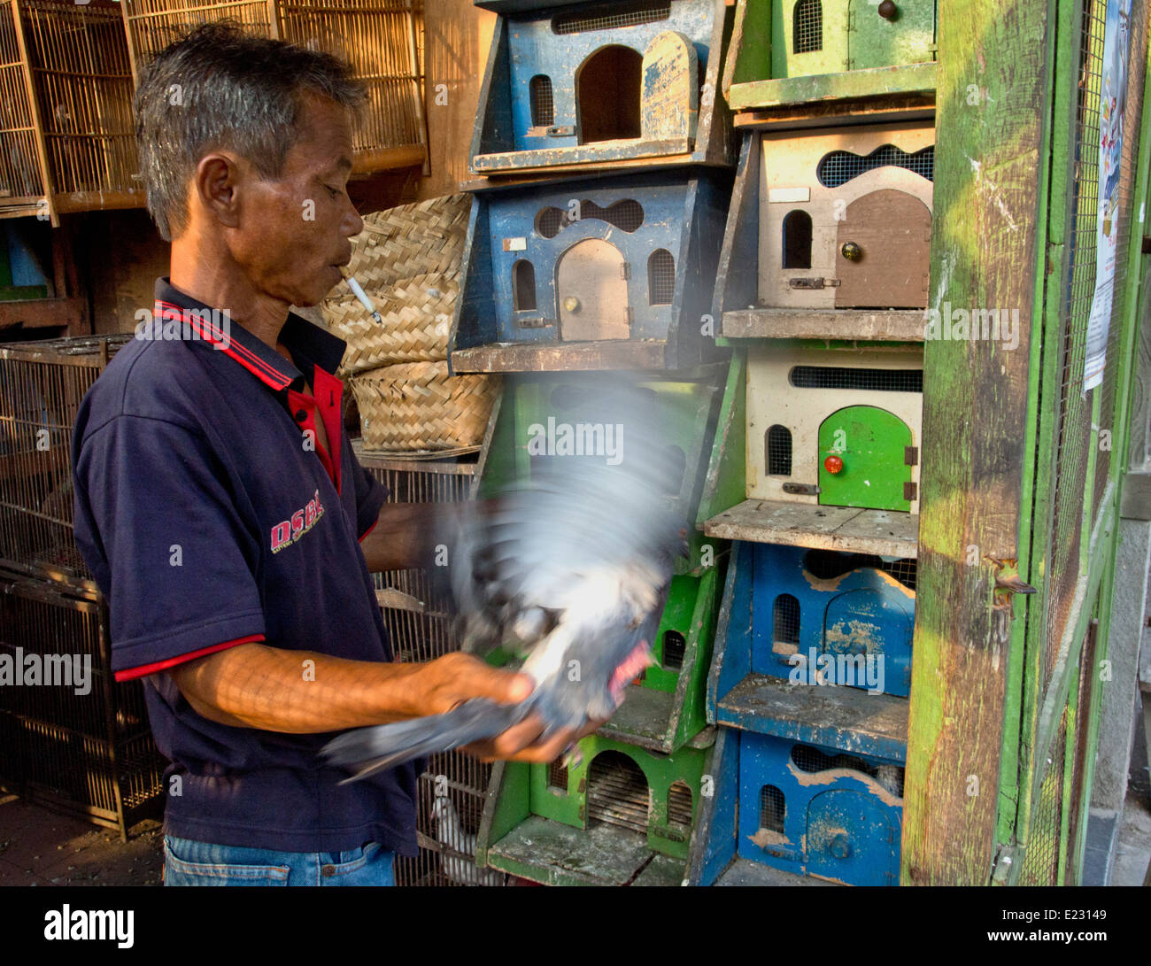 Bird market in Yogyakarta, Indonesia Stock Photo - Alamy