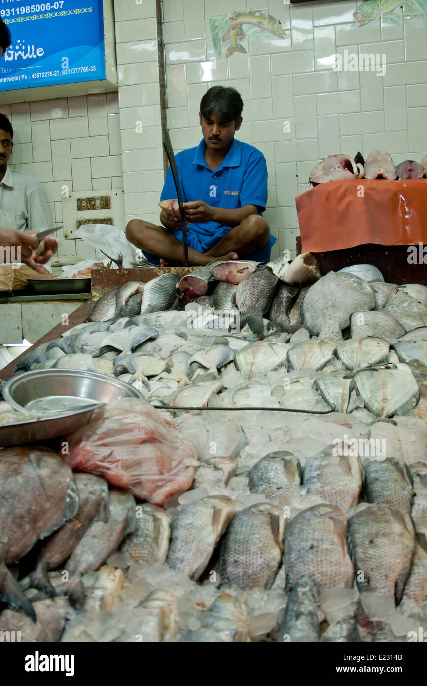 Group Fish in Ina market Stock Photo - Alamy