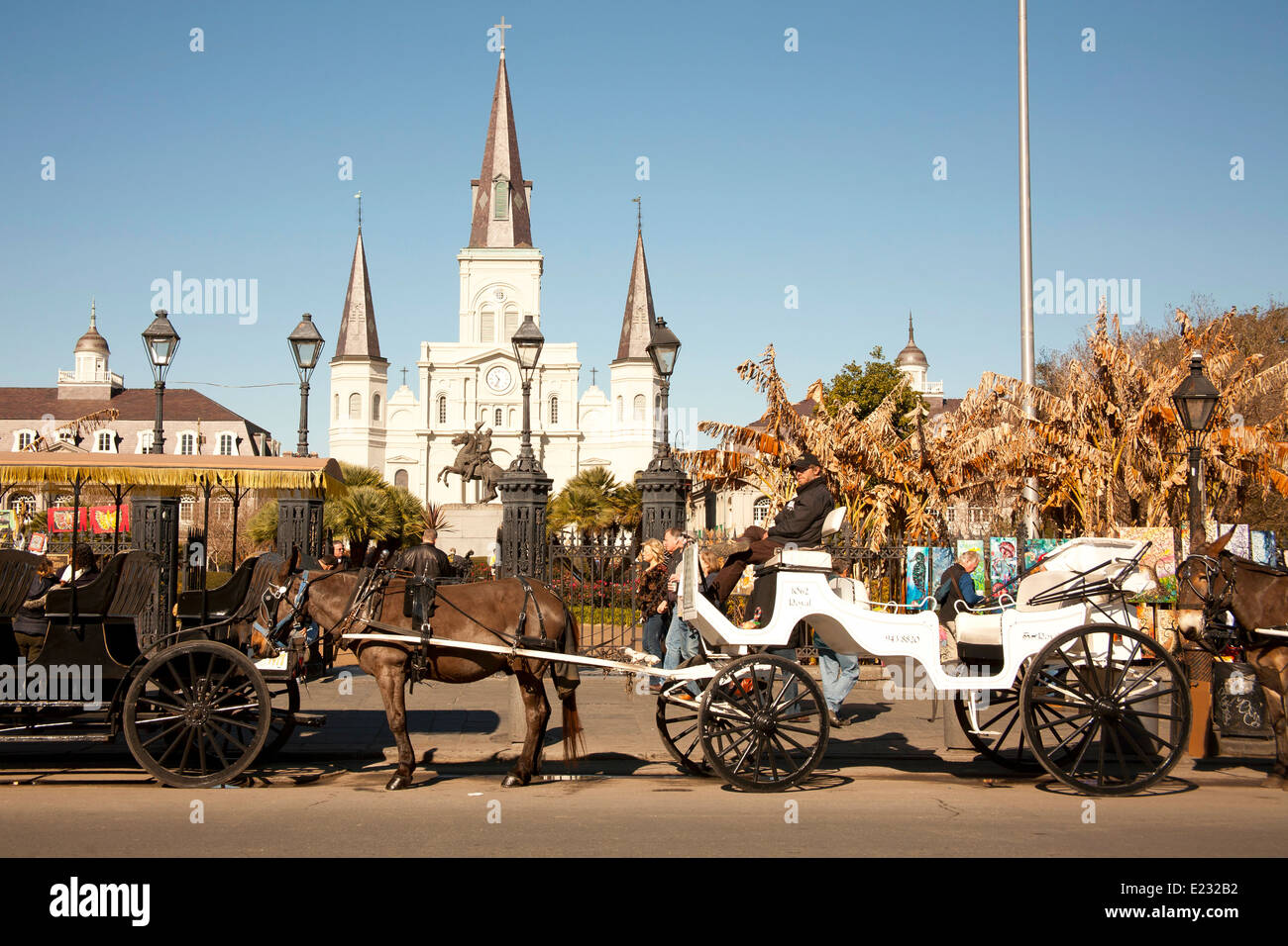 Mule drawn carriage in front of Jackson Square with St Louis Cathedral ...