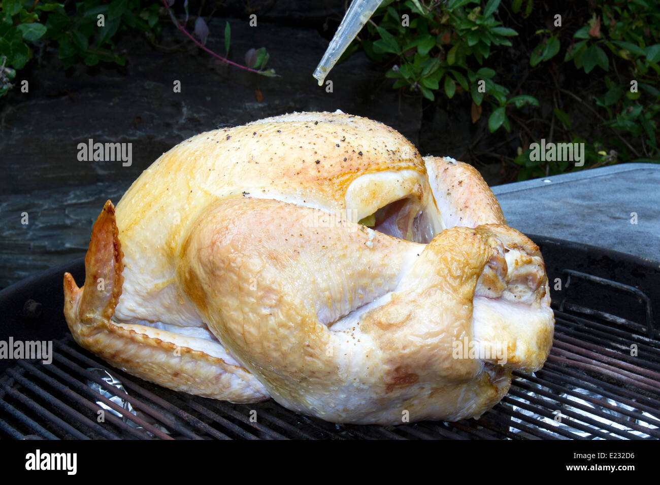 Whole turkey being basted while roasting on a charcoal grill Stock ...