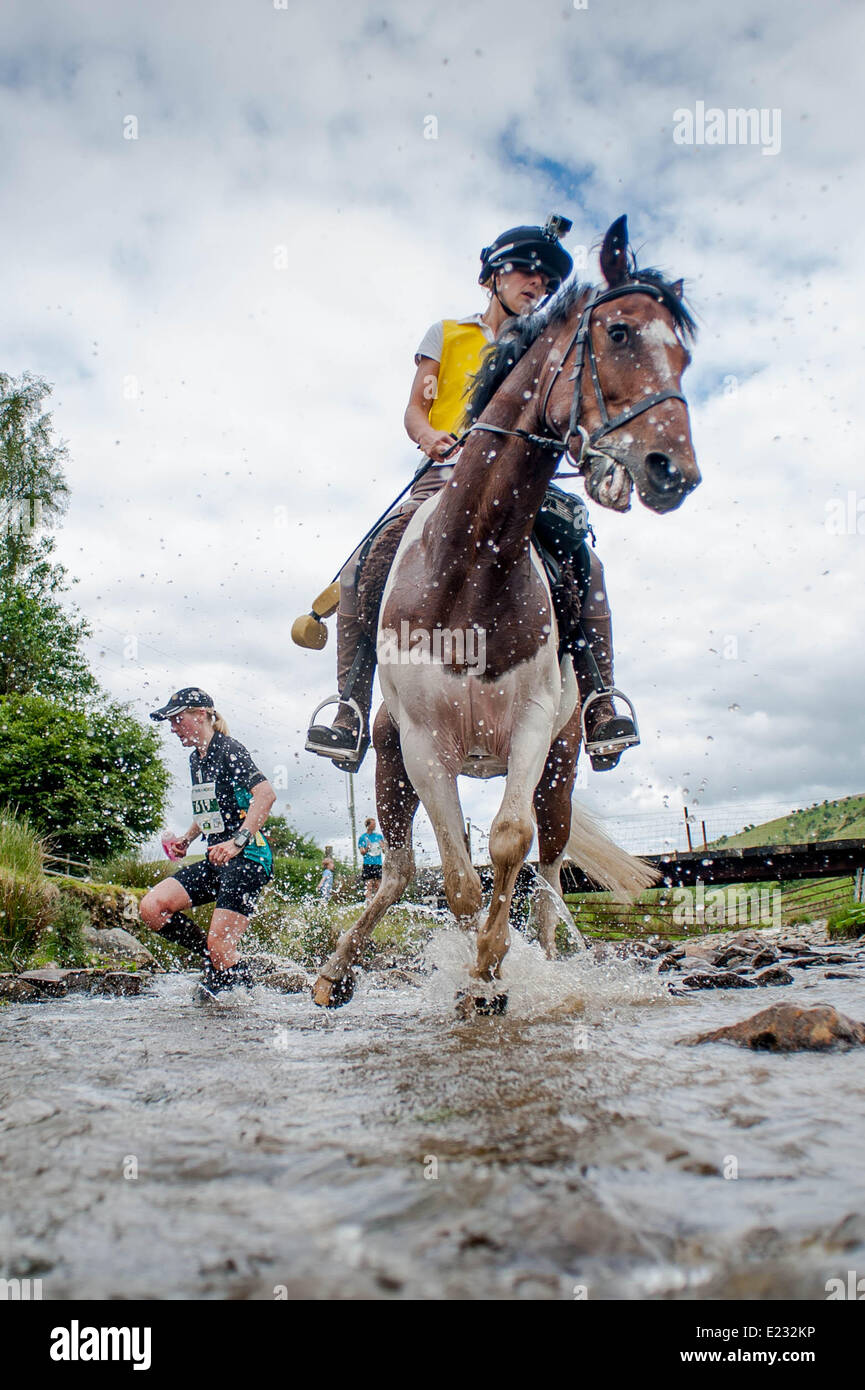 Man vs horse marathon hi-res stock photography and images - Alamy