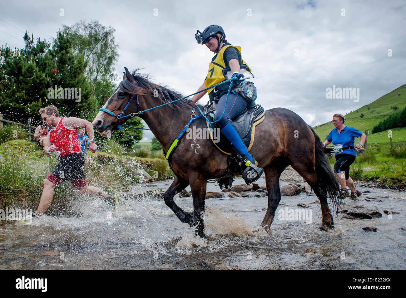 Man running horse race wales hi-res stock photography and images - Alamy