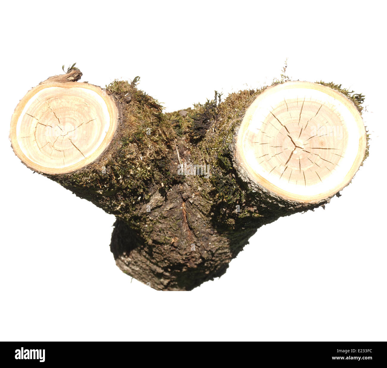 log isolated on a white background Stock Photo - Alamy